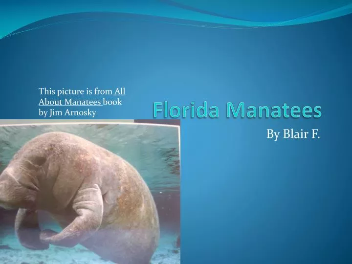 PPT - Florida Manatees PowerPoint Presentation, free download - ID:2696598