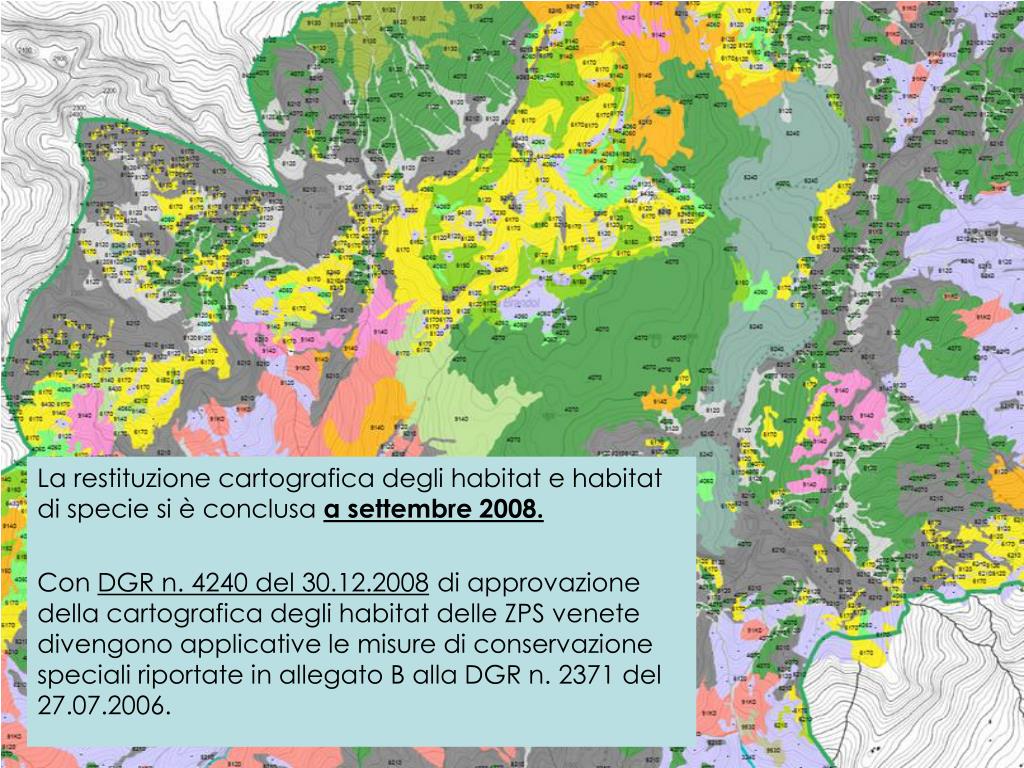 PPT - Parco Nazionale Dolomiti Bellunesi PowerPoint Presentation, free ...