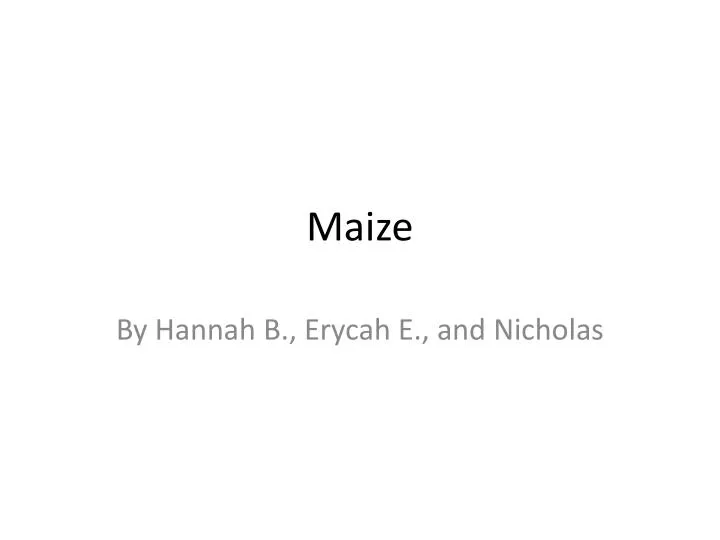 Ppt Maize Powerpoint Presentation Free Download Id 2697309
