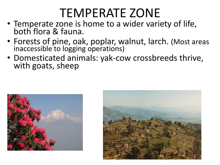 PPT - Himalaya PowerPoint Presentation - ID:2697756