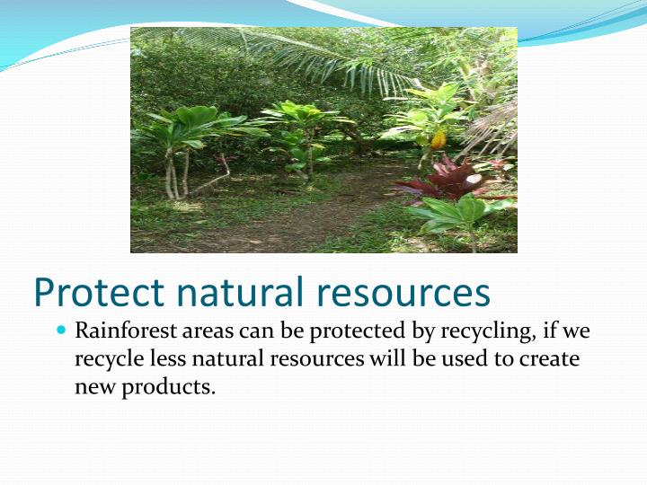 PPT - Easy ways to protect the environment PowerPoint Presentation - ID ...