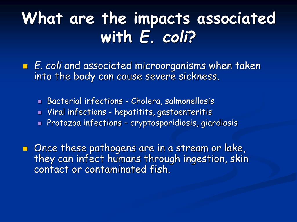 PPT - Pine and Mill Creek E. coli Stakeholder Meeting PowerPoint ...
