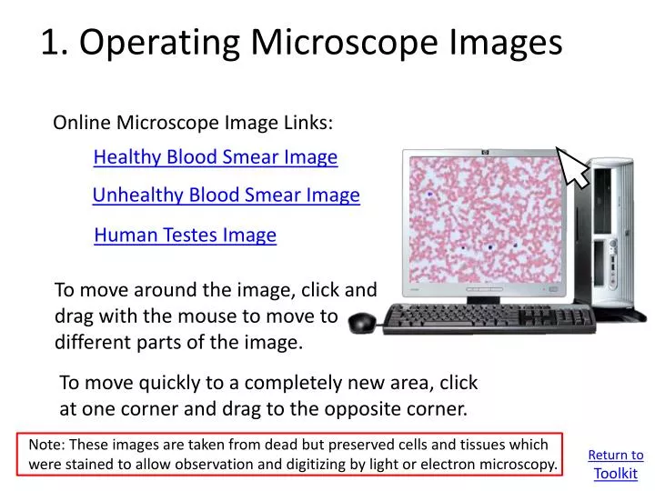 PPT - 1. Operating Microscope Images PowerPoint Presentation, free ...