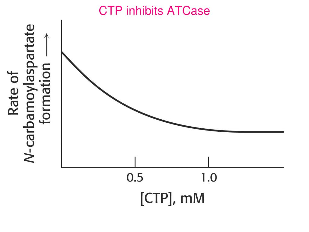 PPT - ENZYMES KINETICS, INHIBITION, REGULATION PowerPoint Presentation ...