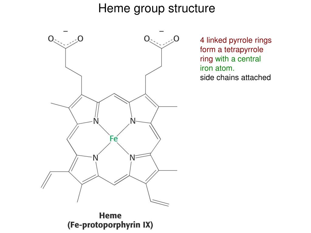 PPT - ENZYMES KINETICS, INHIBITION, REGULATION PowerPoint Presentation ...