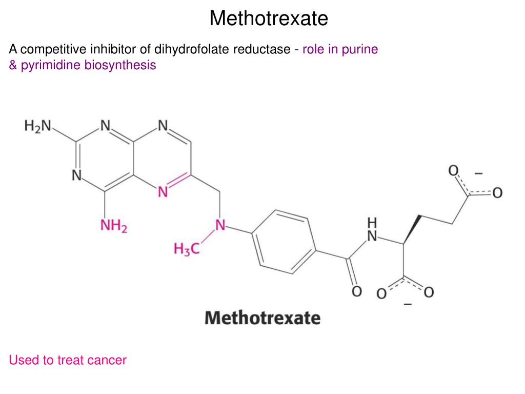PPT - ENZYMES KINETICS, INHIBITION, REGULATION PowerPoint Presentation ...