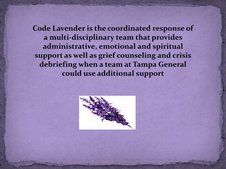 PPT - CODE LAVENDER PowerPoint Presentation - ID:2699103