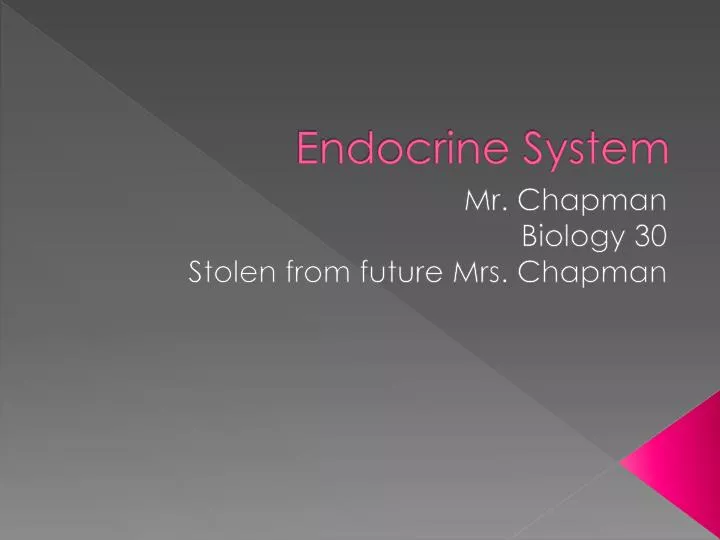 PPT - Endocrine System PowerPoint Presentation, free download - ID:2699375