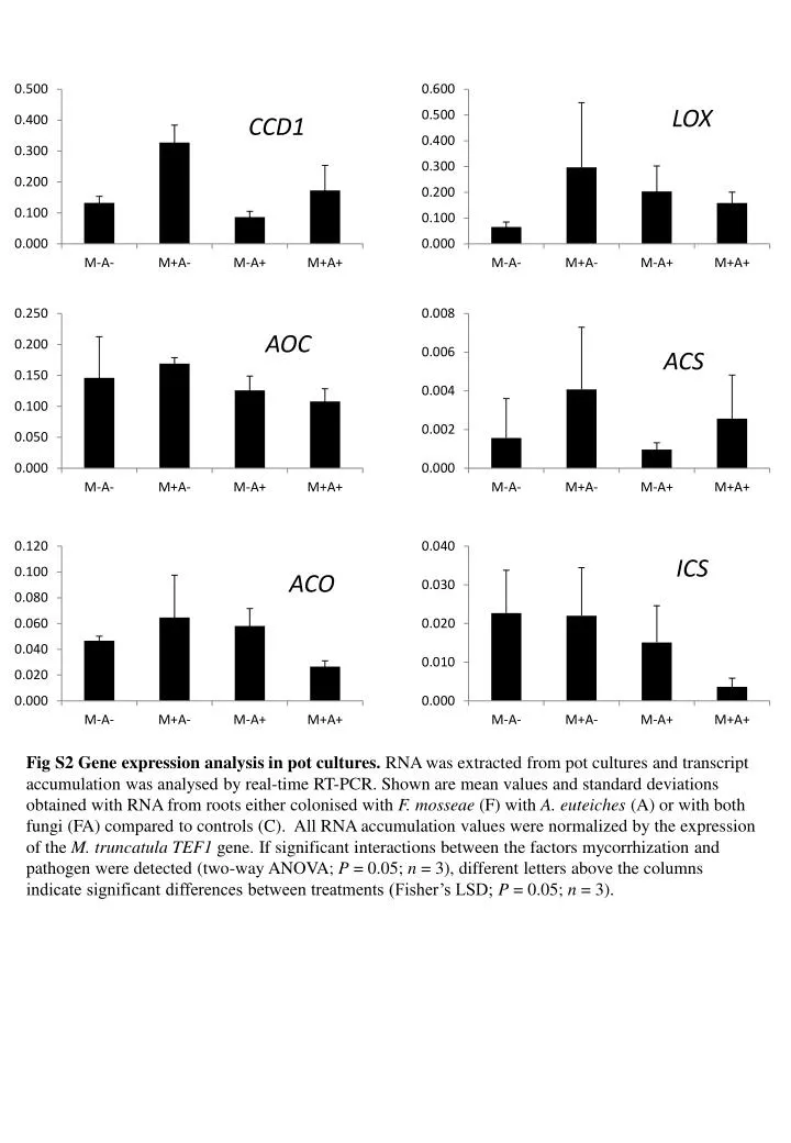 PPT - CCD1 PowerPoint Presentation, free download - ID:2699497