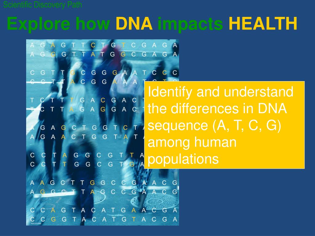 PPT - Beyond the Human Genome Project PowerPoint Presentation, free ...