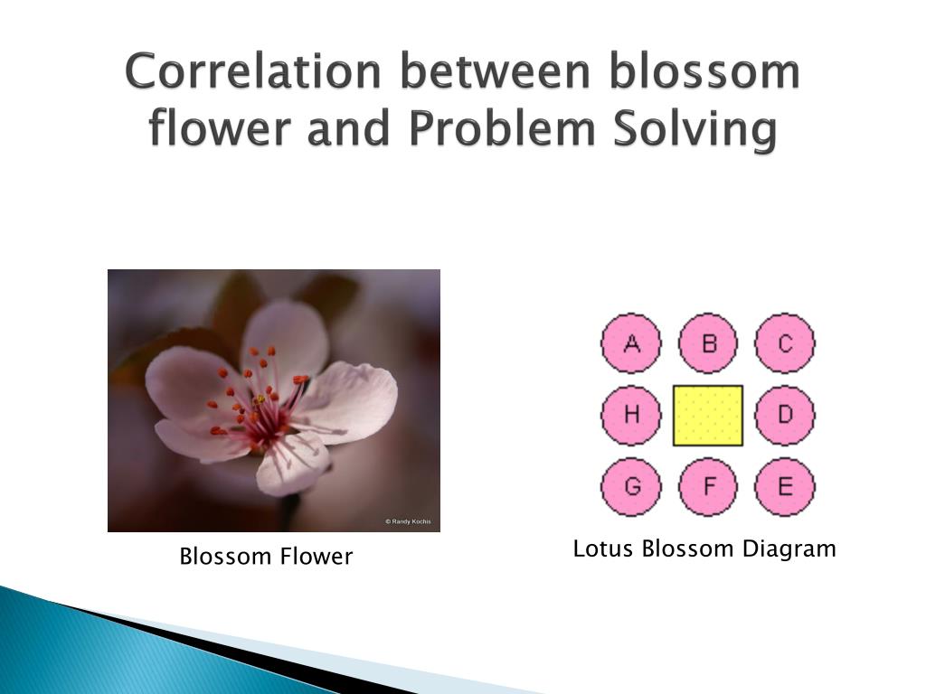 PPT - LOTUS BLOSSOM TECHNIQUE PowerPoint Presentation, free download ... PPT - LOTUS BLOSSOM TECHNIQUE PowerPoint Presentation, free download ...