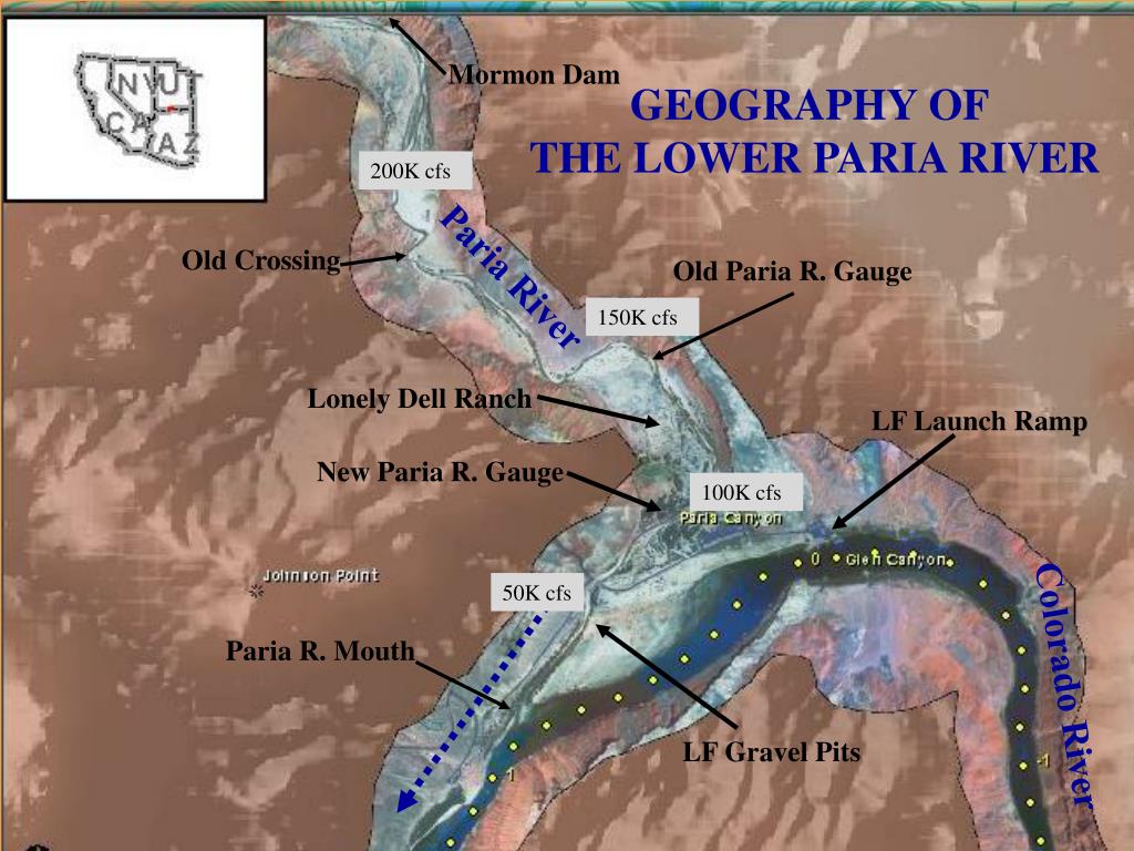 PPT - NATIVE FISH AND FISH HABITATS IN GLEN AND GRAND CANYONS: THE ROLE ...