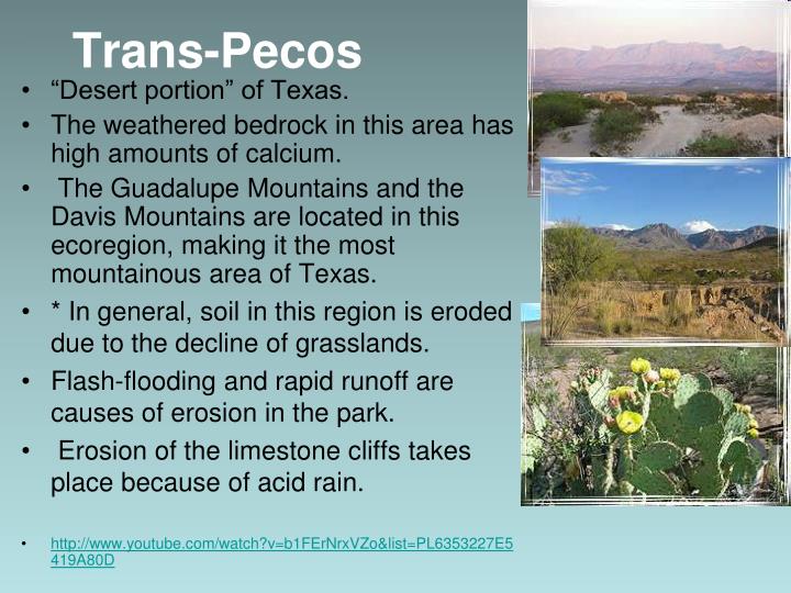 PPT - Texas Ecoregions PowerPoint Presentation - ID:2702560