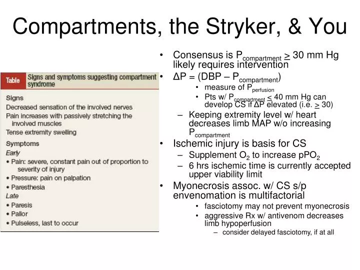 PPT - Compartments, the Stryker, & You PowerPoint Presentation, free download - ID:2702595