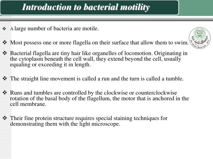 PPT - Bacterial motility PowerPoint Presentation - ID:2702779