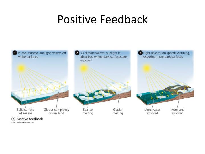 PPT - Feedback Dynamics and Feedback Loop PowerPoint Presentation - ID ...