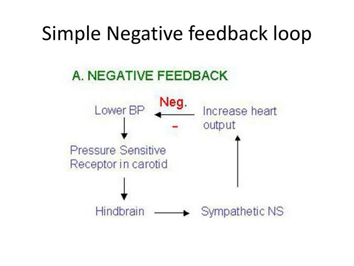 PPT - Feedback Dynamics and Feedback Loop PowerPoint Presentation - ID ...