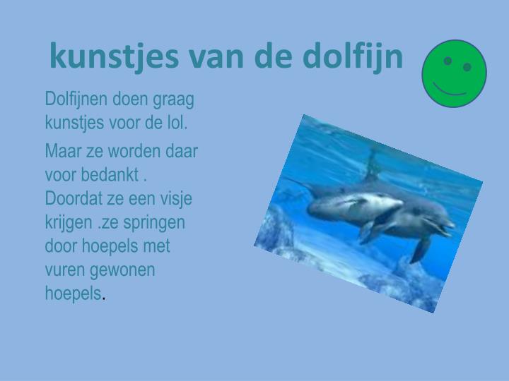 PPT - dolfijnen PowerPoint Presentation - ID:2703520