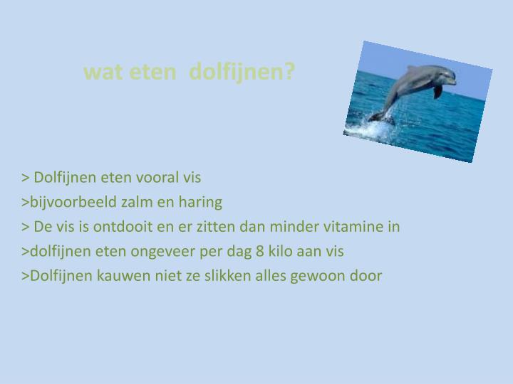 PPT - dolfijnen PowerPoint Presentation - ID:2703520