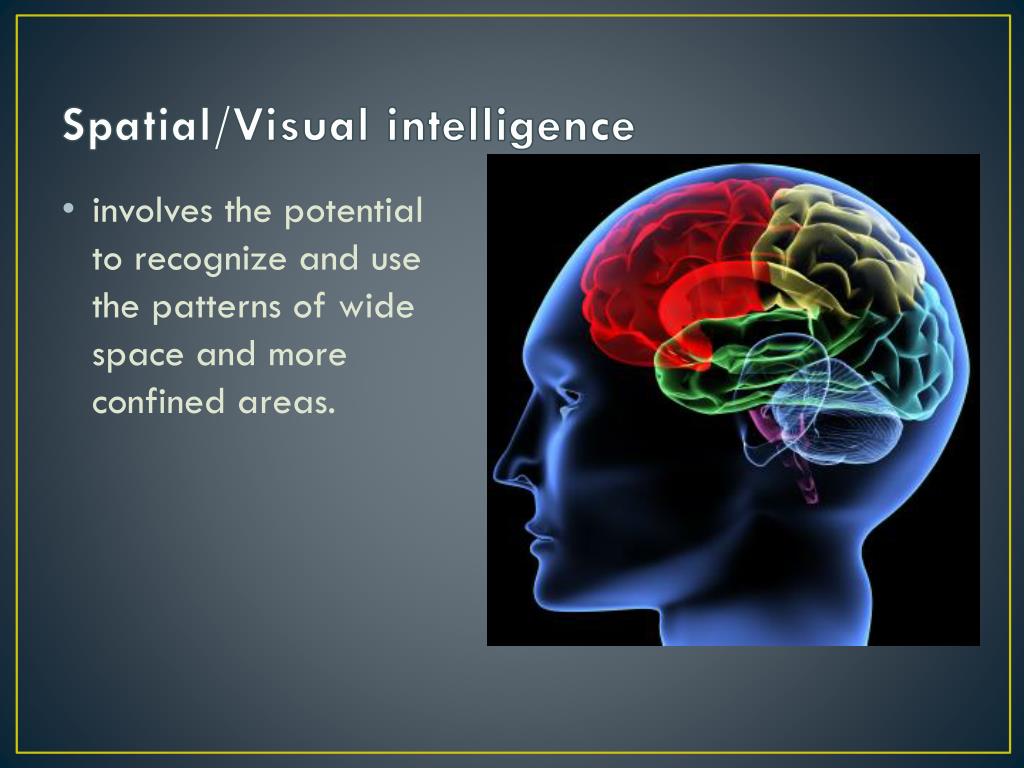 Multiple Intelligences Visual Spatial Intelligence - vrogue.co Multiple Intelligences Visual Spatial Intelligence - vrogue.co