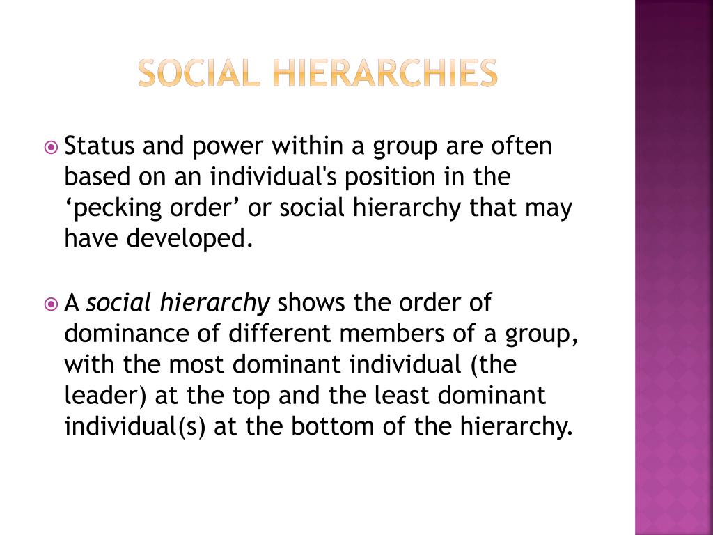 PPT - Social Influences on the Individual PowerPoint Presentation, free ...
