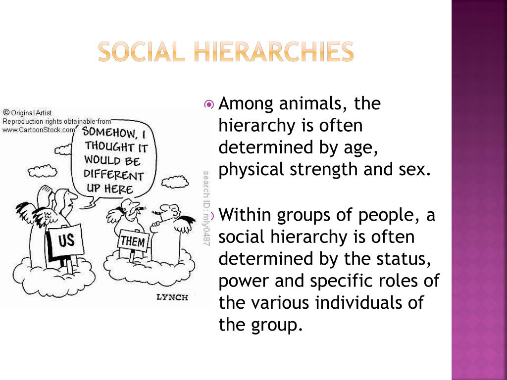 PPT - Social Influences on the Individual PowerPoint Presentation, free ...