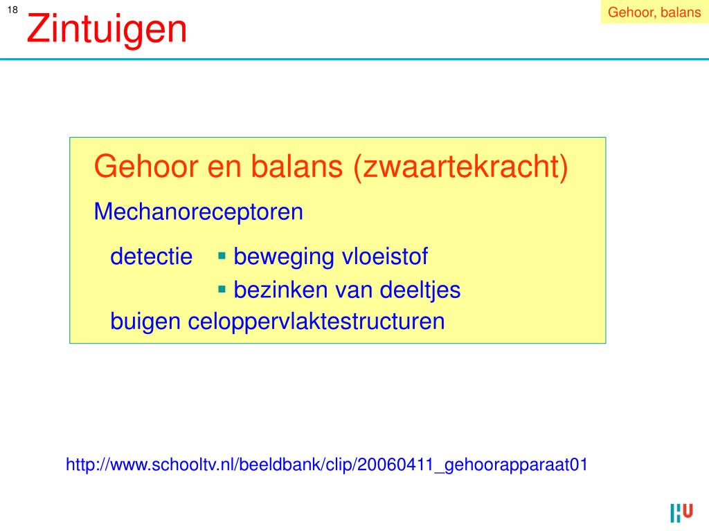 PPT - zintuigen / zintuigcellen: Receptoren van prikkels, PowerPoint ...