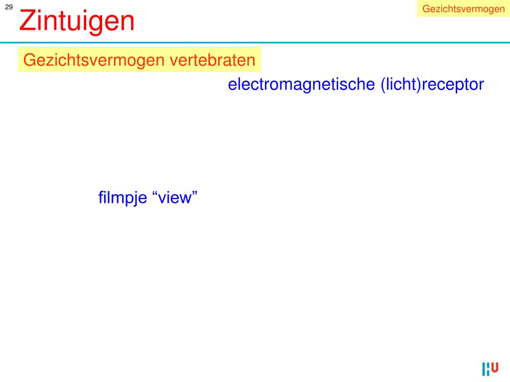 PPT - zintuigen / zintuigcellen: Receptoren van prikkels, PowerPoint ...