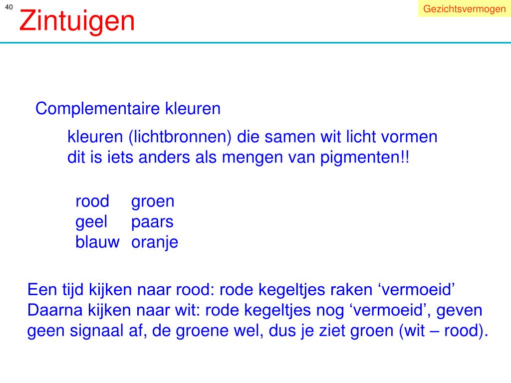 PPT - zintuigen / zintuigcellen: Receptoren van prikkels, PowerPoint ...