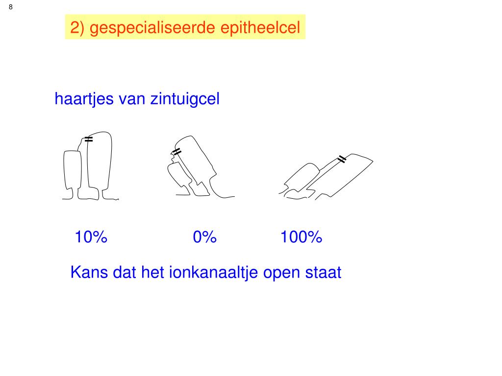 PPT - zintuigen / zintuigcellen: Receptoren van prikkels, PowerPoint ...