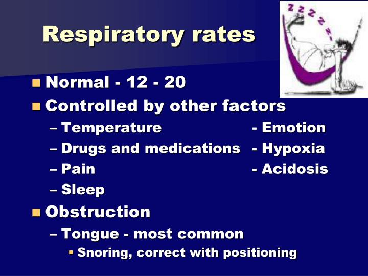PPT - Respiratory System Assessment PowerPoint Presentation - ID:2705446