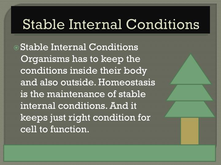 PPT - 4 Essential Things for life PowerPoint Presentation - ID:2705450