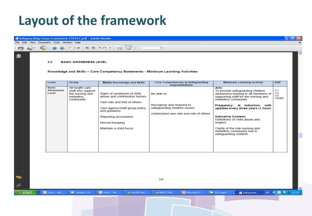 PPT - Safeguarding Children and Young People PowerPoint Presentation ...