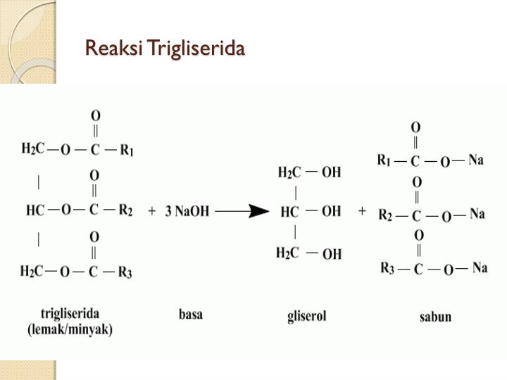PPT - EKSTRAKSI DAN UJI AKTIVITAS ENZIM LIPASE PowerPoint Presentation ...