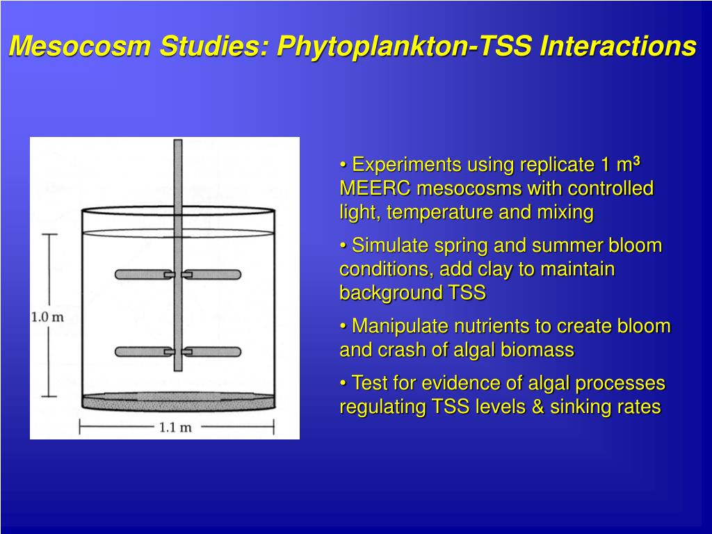 PPT - Plankton Controls on Suspended Sediments and Water Clarity in ...