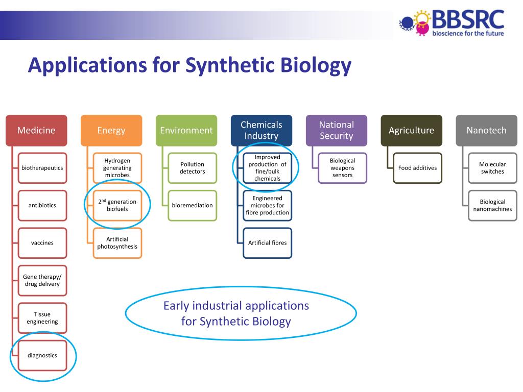 PPT - Win-Win Investments: Synthetic Biology for growth and innovation ...