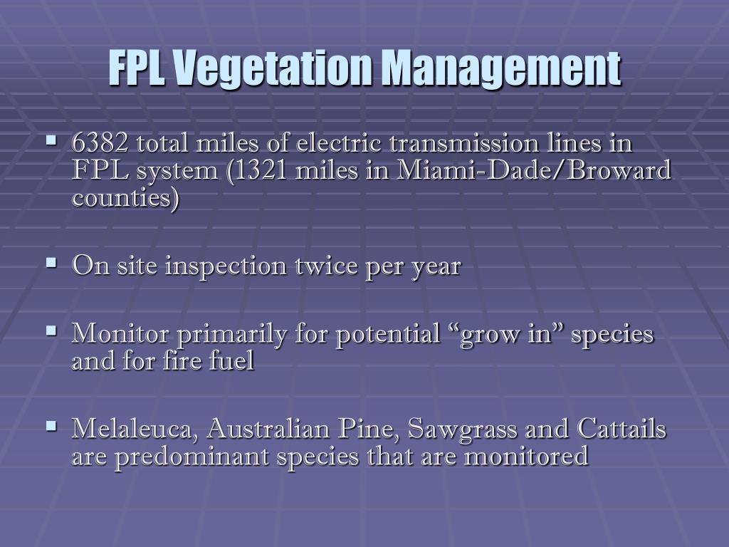 PPT - Florida Power & Light Company PowerPoint Presentation, free ...