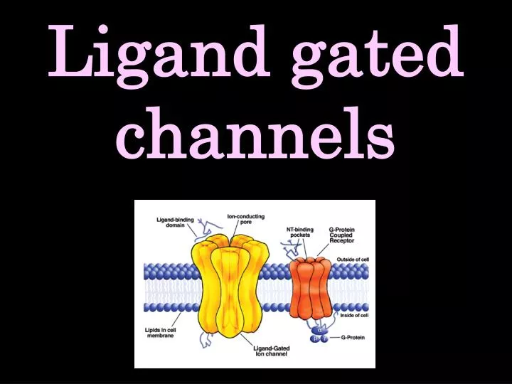 PPT - Ligand gated channels PowerPoint Presentation, free download - ID ...