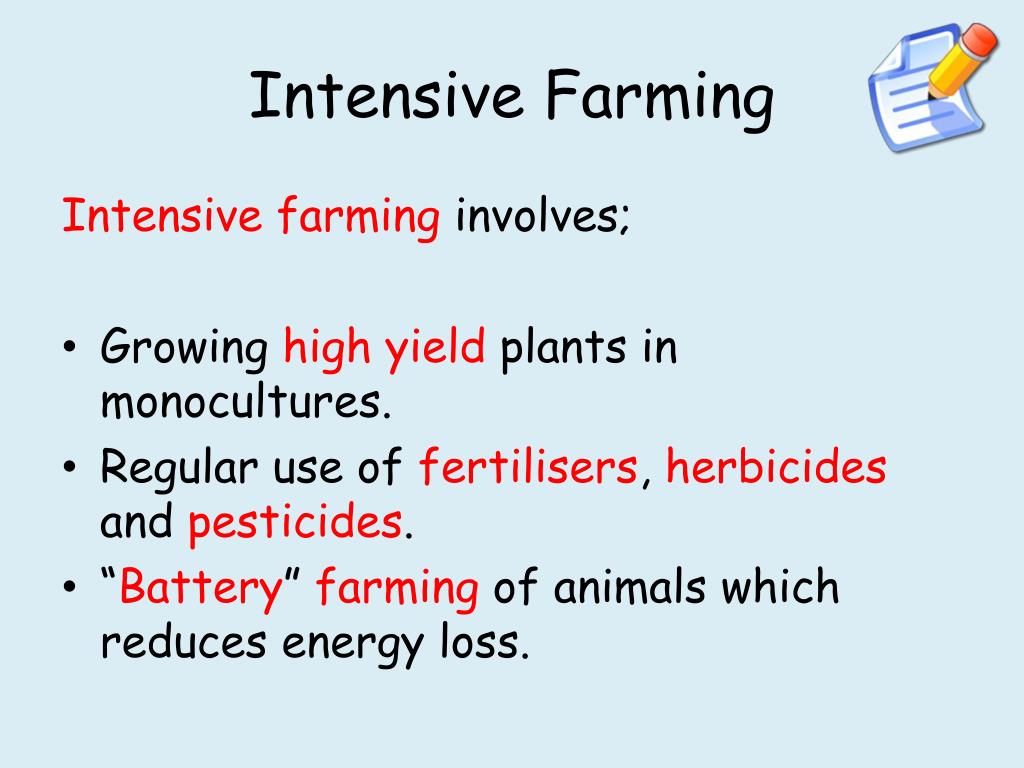 PPT - Human Impact PowerPoint Presentation, free download - ID:2709874