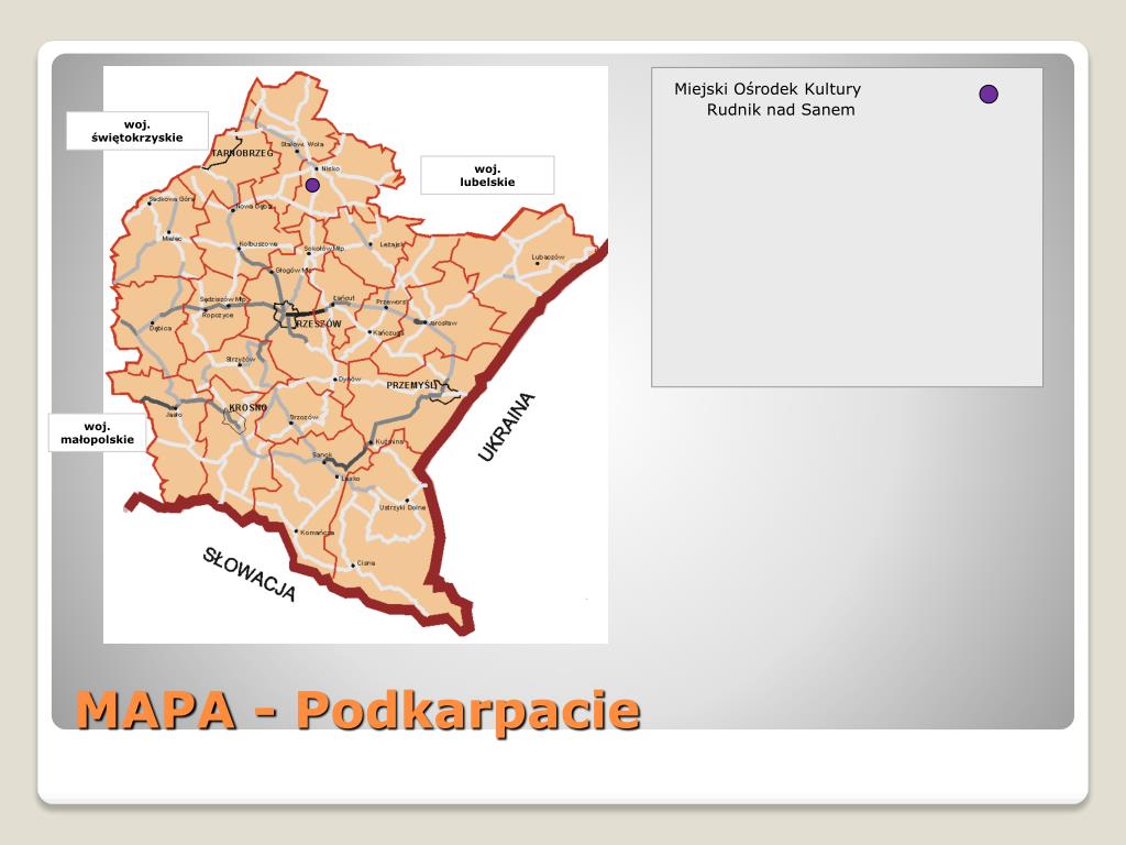 PPT - Wiklina prosto z Podkarpacia PowerPoint Presentation, free ...