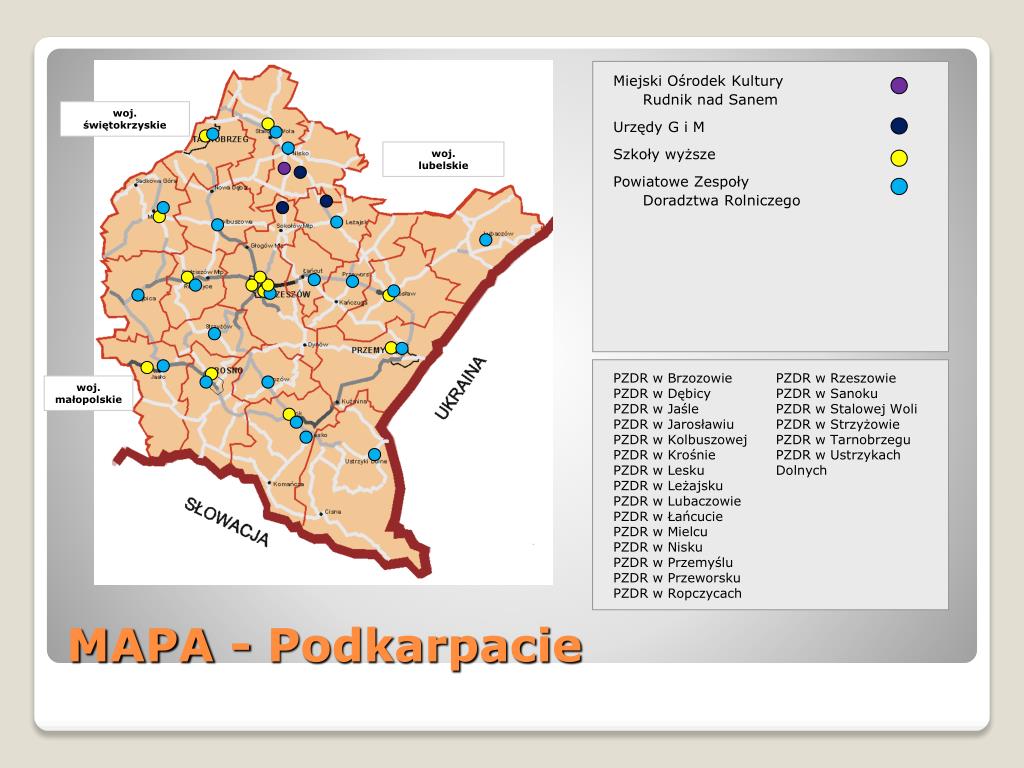 PPT - Wiklina prosto z Podkarpacia PowerPoint Presentation, free ...