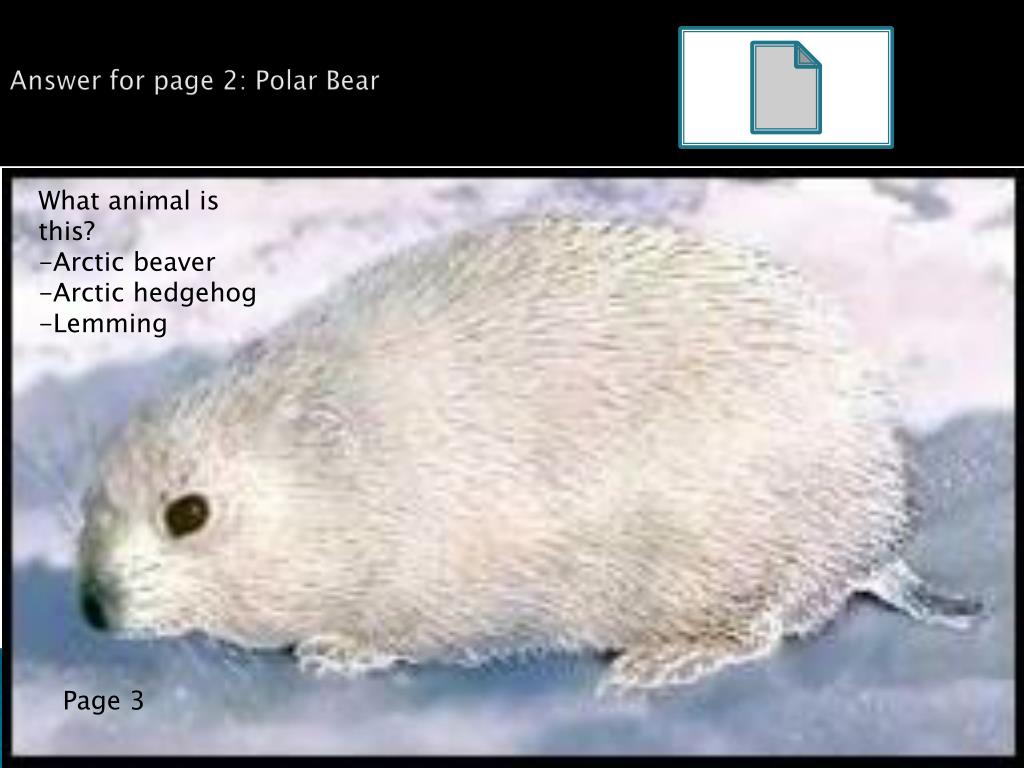 PPT - Arctic Animals Guessing Game Fun PowerPoint Presentation, free ...