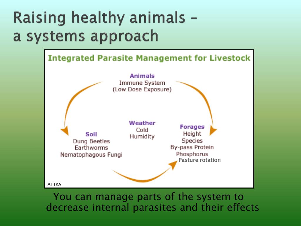 PPT - Focusing on Stewardship for Long-term Sustainability PowerPoint ...