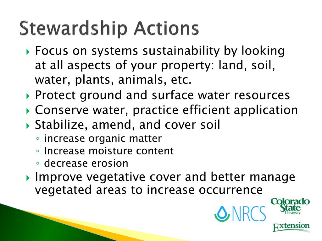 PPT - Focusing on Stewardship for Long-term Sustainability PowerPoint ...