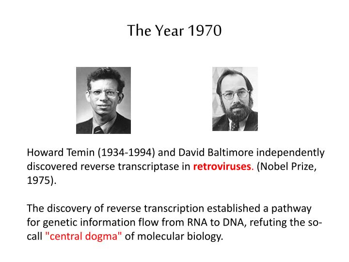 PPT - History of Virology PowerPoint Presentation - ID:2712634