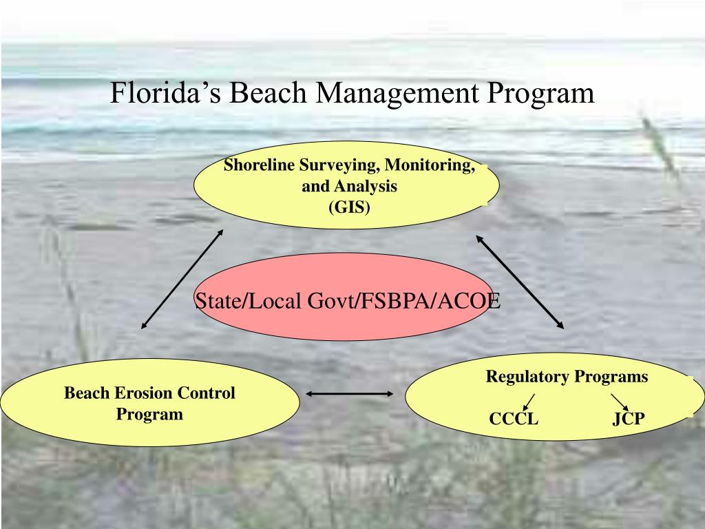 PPT - The State of Beach Management in Florida September 2003 Michael W ...