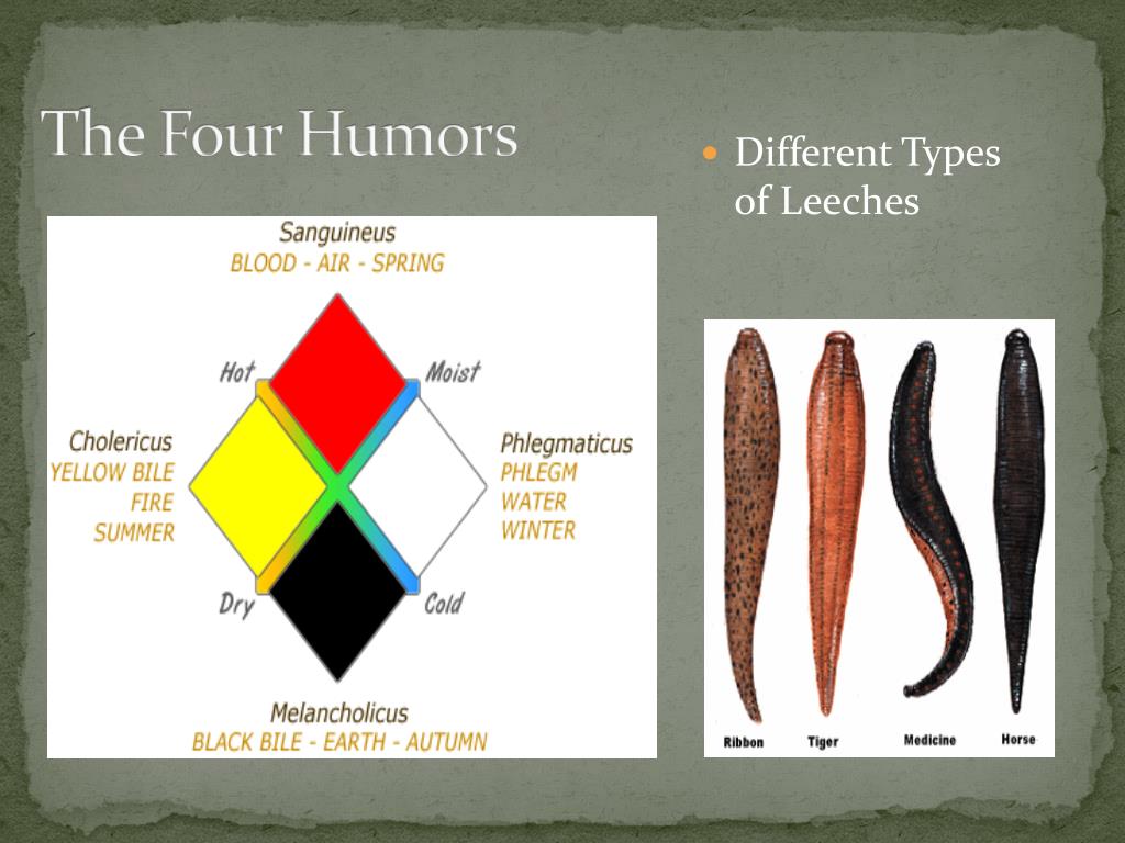 PPT - Ancient Greek Medicine PowerPoint Presentation, free download ...