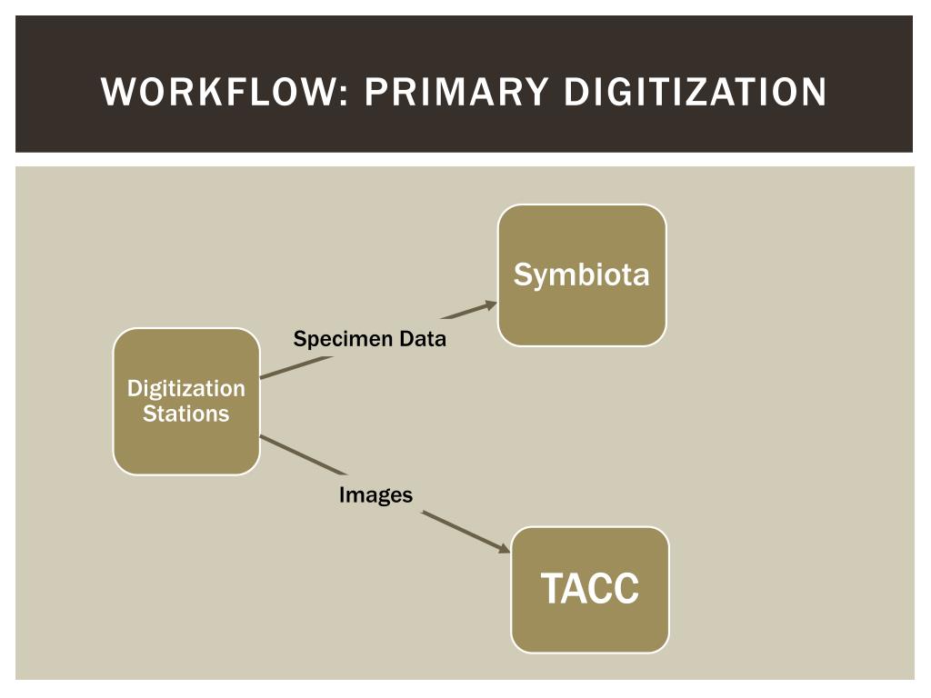 PPT - P.W. Sweeney Yale Peabody Museum of Natural History PowerPoint ...