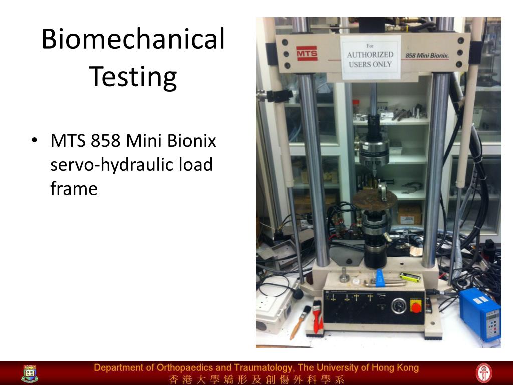PPT - Jason Pui Yin Cheung , Boris Fung, Wing Yuk Ip Department of ...