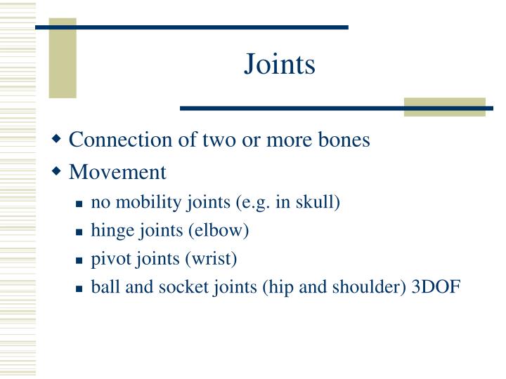 PPT - BIOMECHANICS OF WORK PowerPoint Presentation - ID:2715610